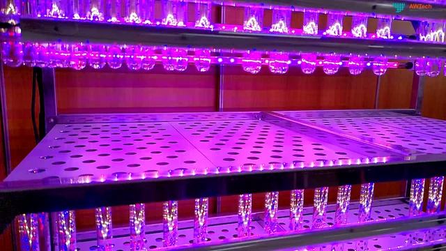 Фитостеллаж для выращивания растений в пробирках СТЕЛЛАР ФИТО LINE Р6 С Ш (АВТех, Россия)