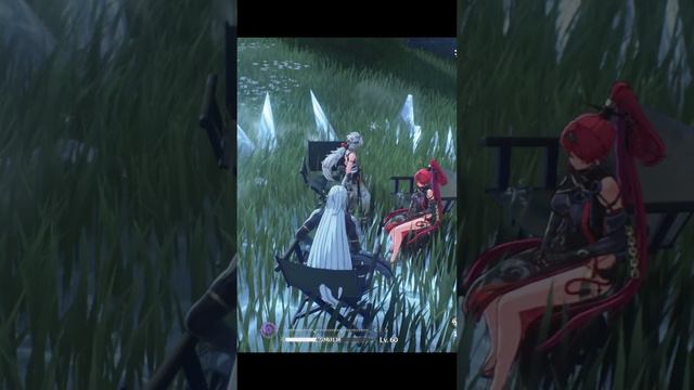 БАГ В WUTHERING WAVES