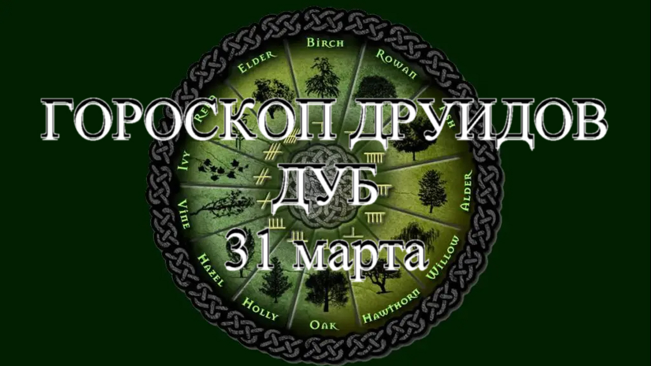 Гороскоп друидов. Дуб