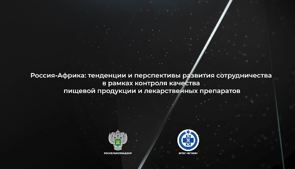 4/23 Россия-Африка: Тенденции и перспективы развития сотрудничества