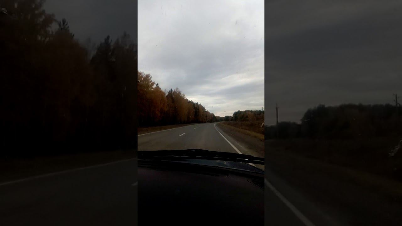 02.10.19. Осень