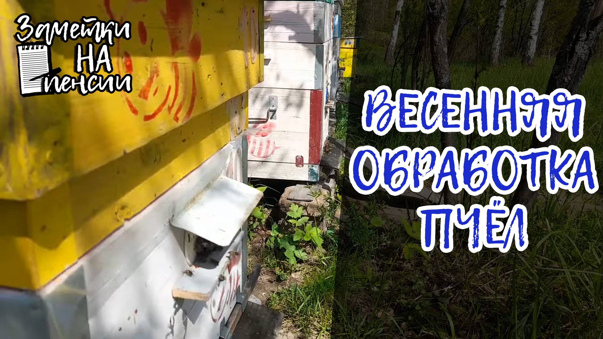 Весенняя обработка пчел и расширение гнезда! #пчёлы #пасека #деревня