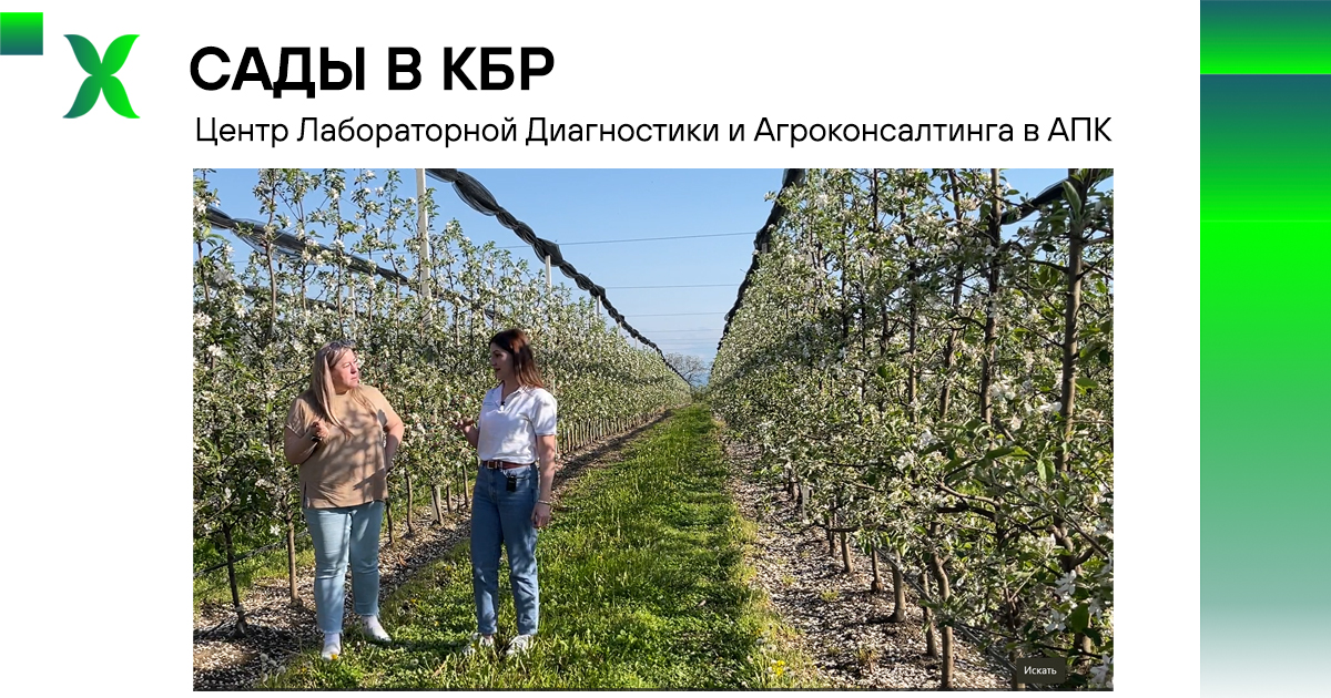 Сады в Кабардино-Балкарии / Лабораторные исследования и консалтинг.