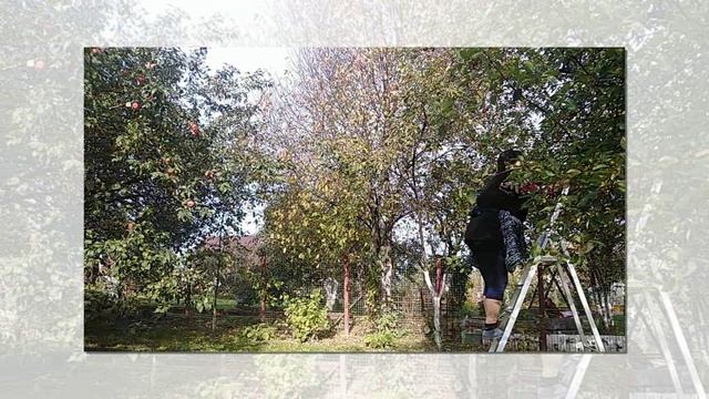 Житье - бытье.