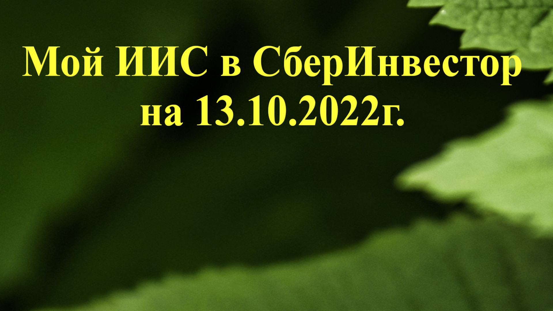 Мой ИИС в СберИнвестор на 13.10.2022г, точнее его мизерная часть. Не является инвест. рекомендацией