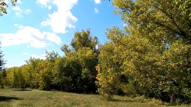 К Елшанским родникам