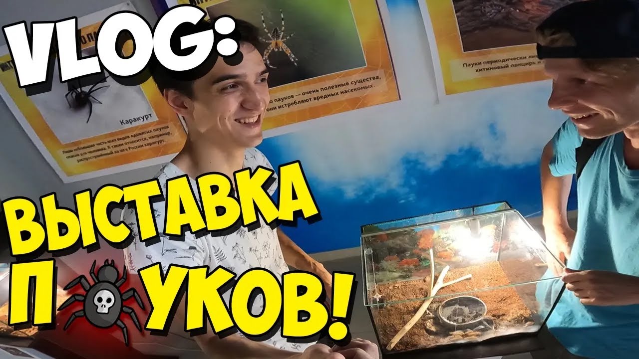 VLOG: ВЫСТАВКА ПАУКОВ / ПОБОРОЛ СВОЙ СТРАХ / СПРЯТАЛ ДЕНЬГИ В НЕФТЕКАМСКЕ