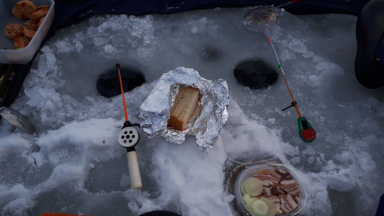 Елец долбит только шум стоит, съемка в реальном времени. "с Серёгой"