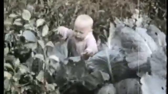 Алине 1 год 2 часть