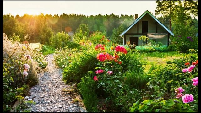 Мечтать о такой, как ты. 1-05 Татьяна Веденская