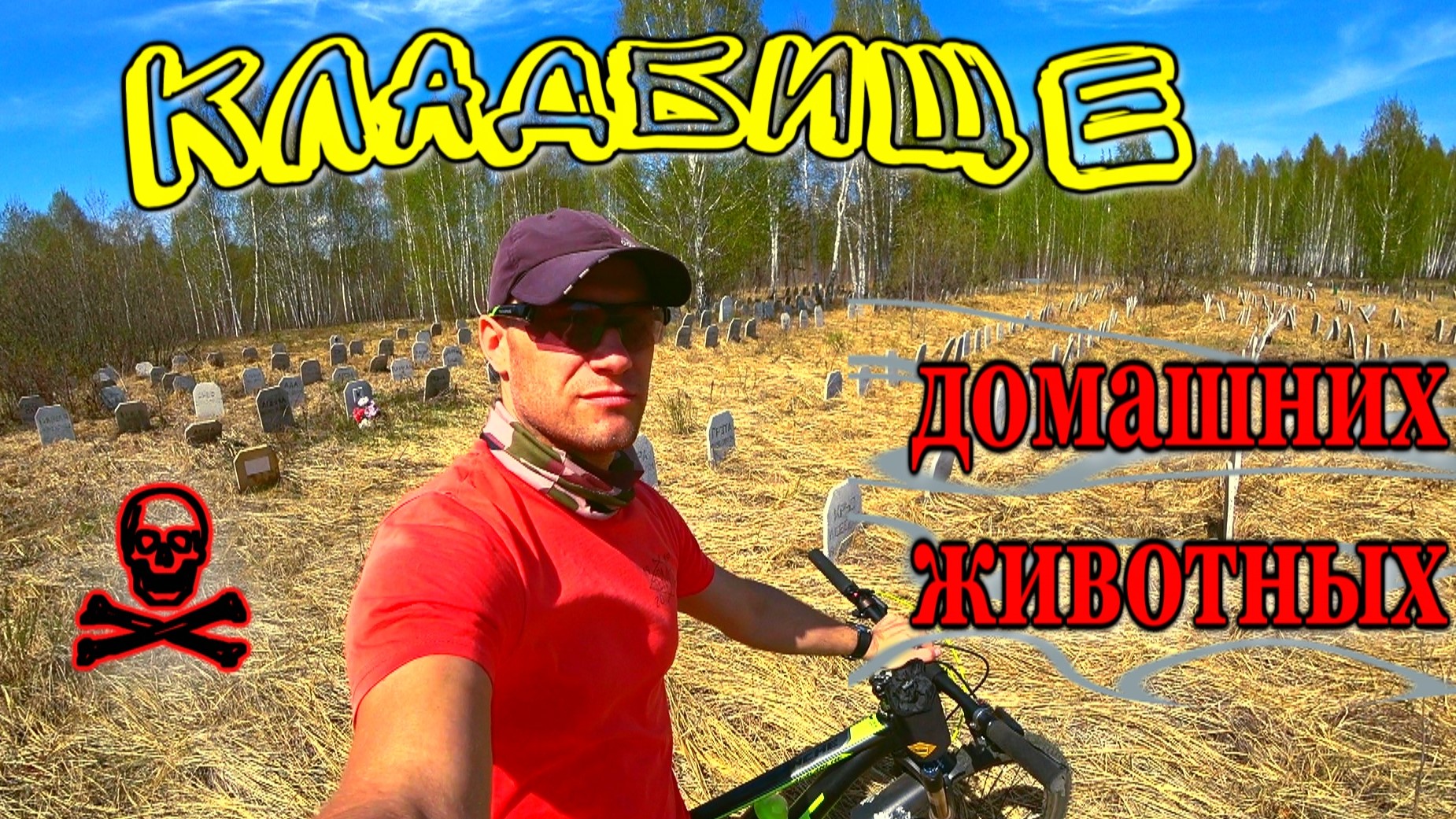 Кладбище домашних животных.