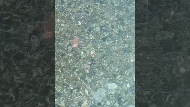 чистейшее море Кабардинки