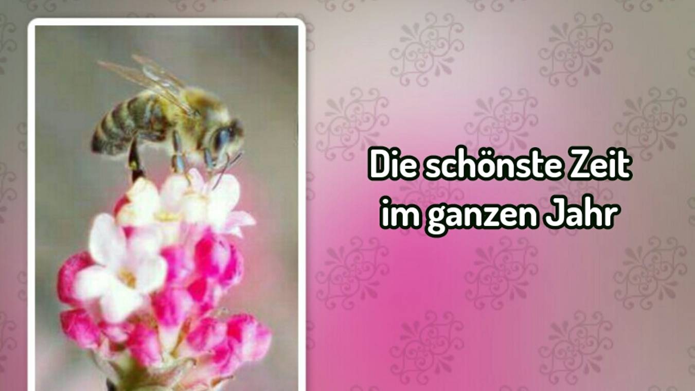 Die schönste Zeit im ganzen Jahr (-)