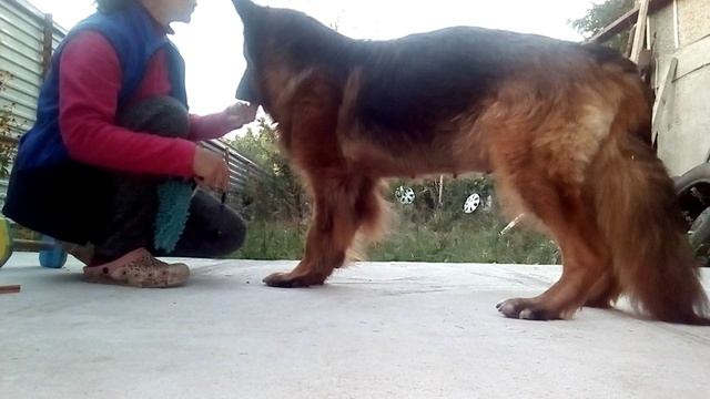 Жасминка. Подача 5 разных предметов.