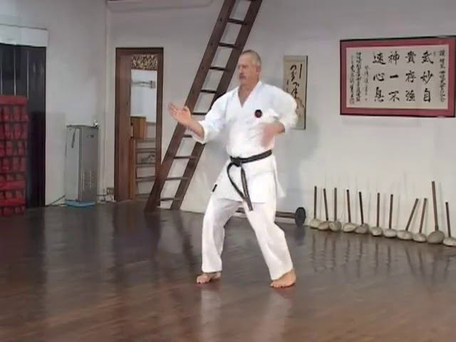 Sensei Bakkies Laubscher. DVDVol3Promo