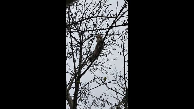 Жаль, что я не умею летать.