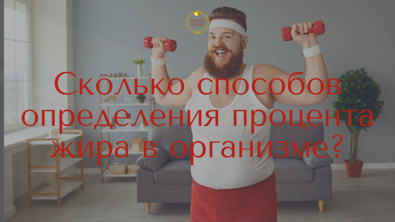 Сколько способов определения процента жира в организме?