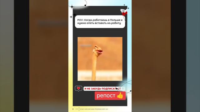 Знакомо? 😂