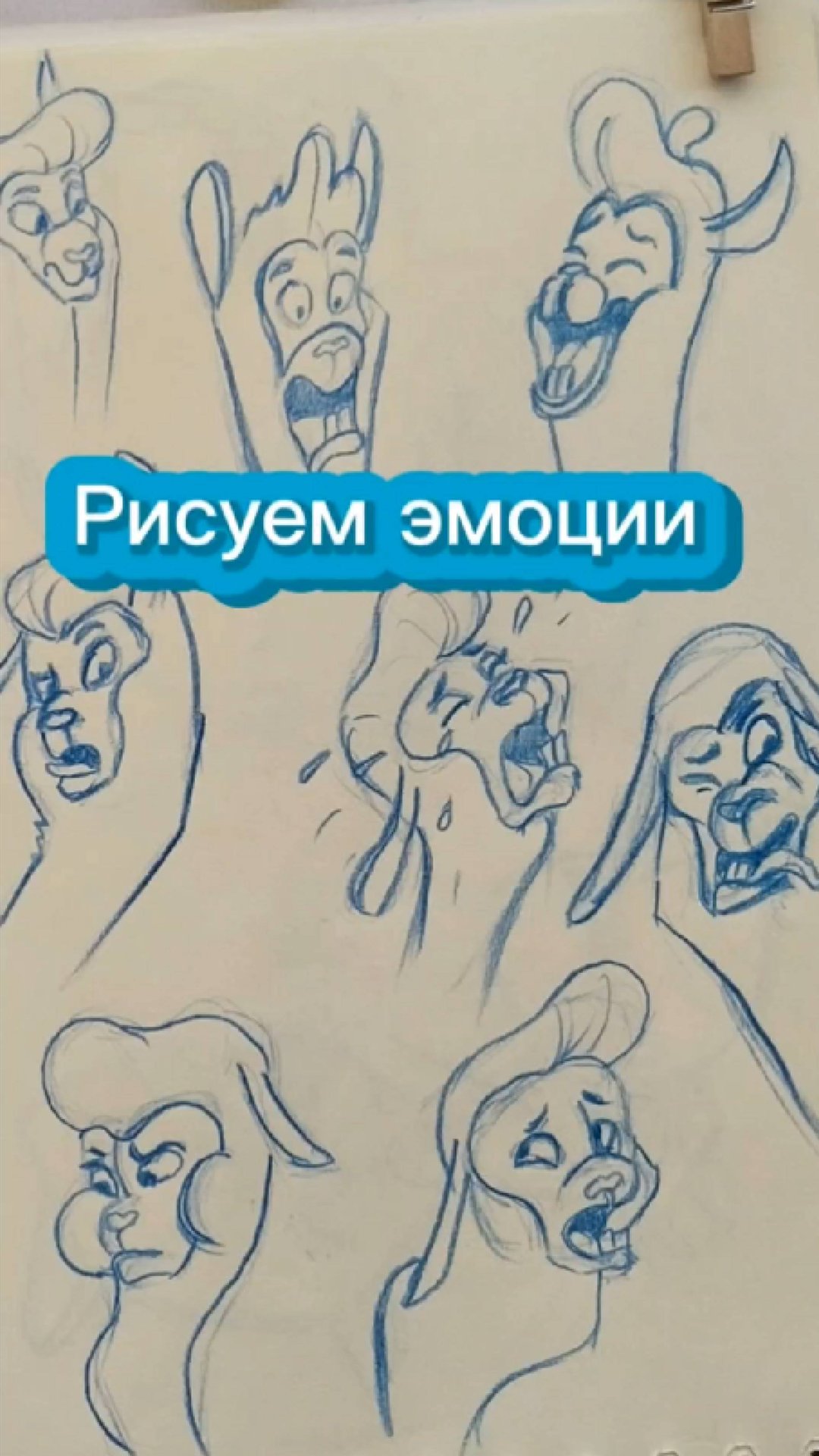 Рисую по книге - Дизайн персонажей животных. Спидпейнт.