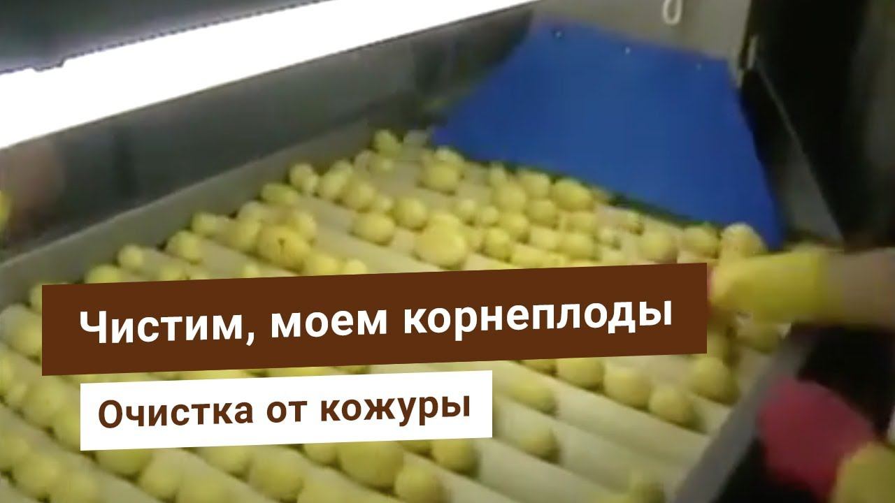 Оборудование по мойке и чистке корнеплодов: картофеля, моркови. Моечная машина и корундовая чистка.