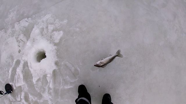 Закрытие твердой воды на Белом озере! Часть 2