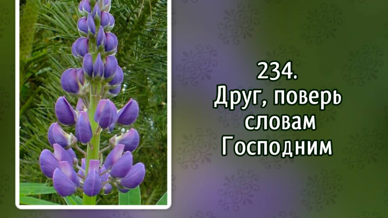 Гимны надежды 234 Друг, поверь словам Господним (-)