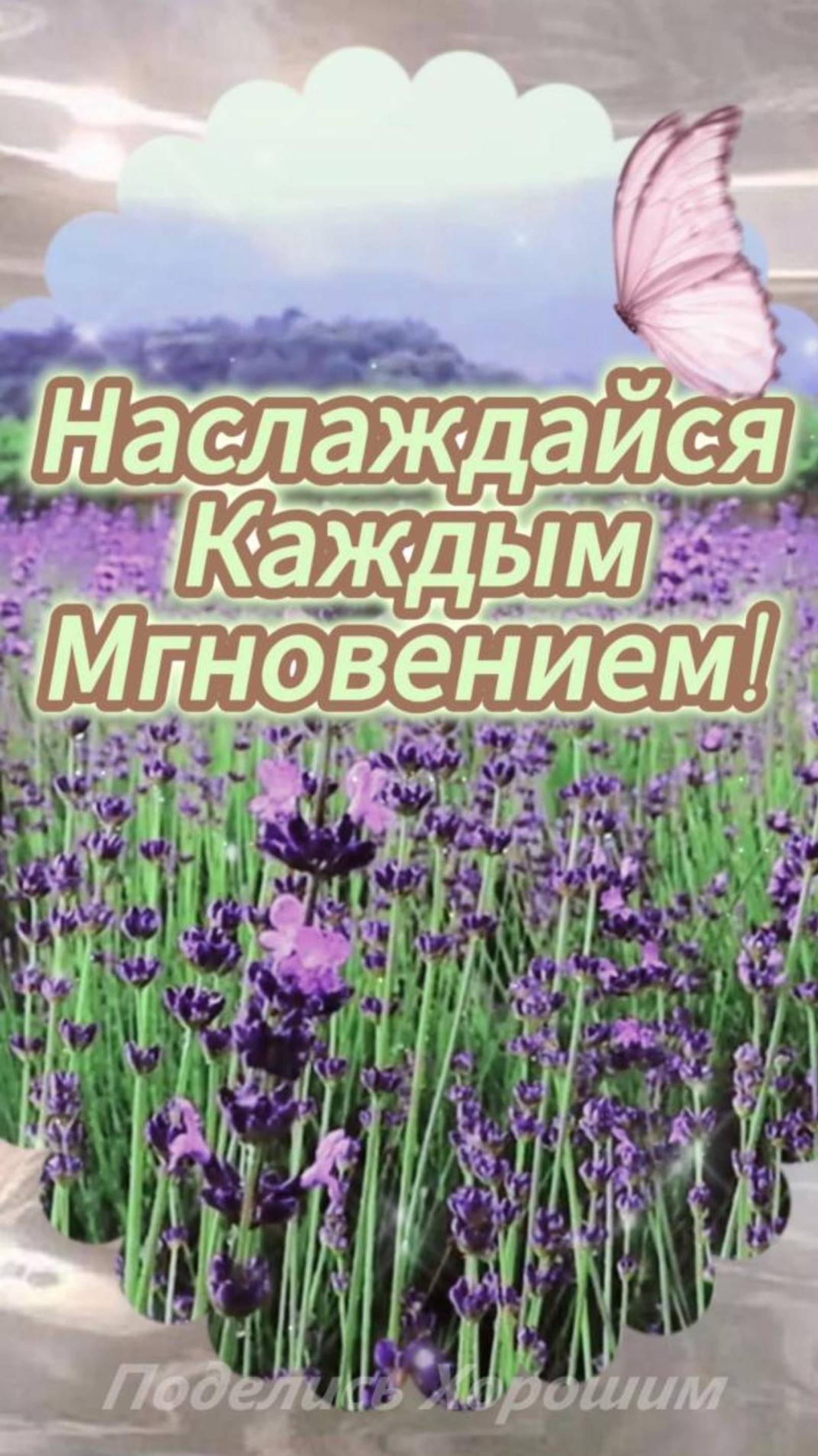 Чудесный День!