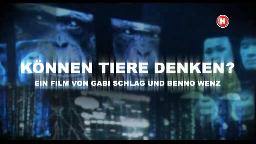 Как думают животные?