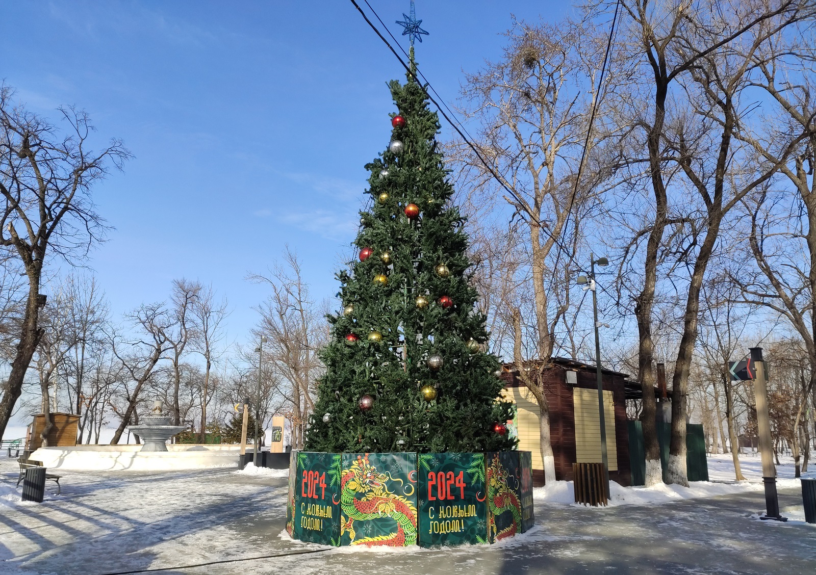 Санаторная , Амурский залив , в декабре 2023