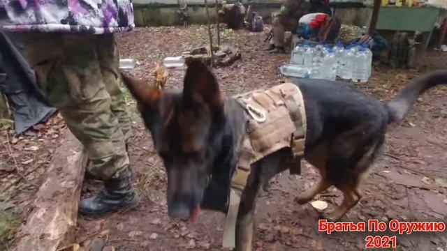 Братья по Оружию 2021 (автор ZeVs)