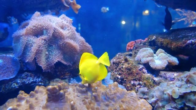 Релакс. Красивая расслабляющая музыка  фортепиано