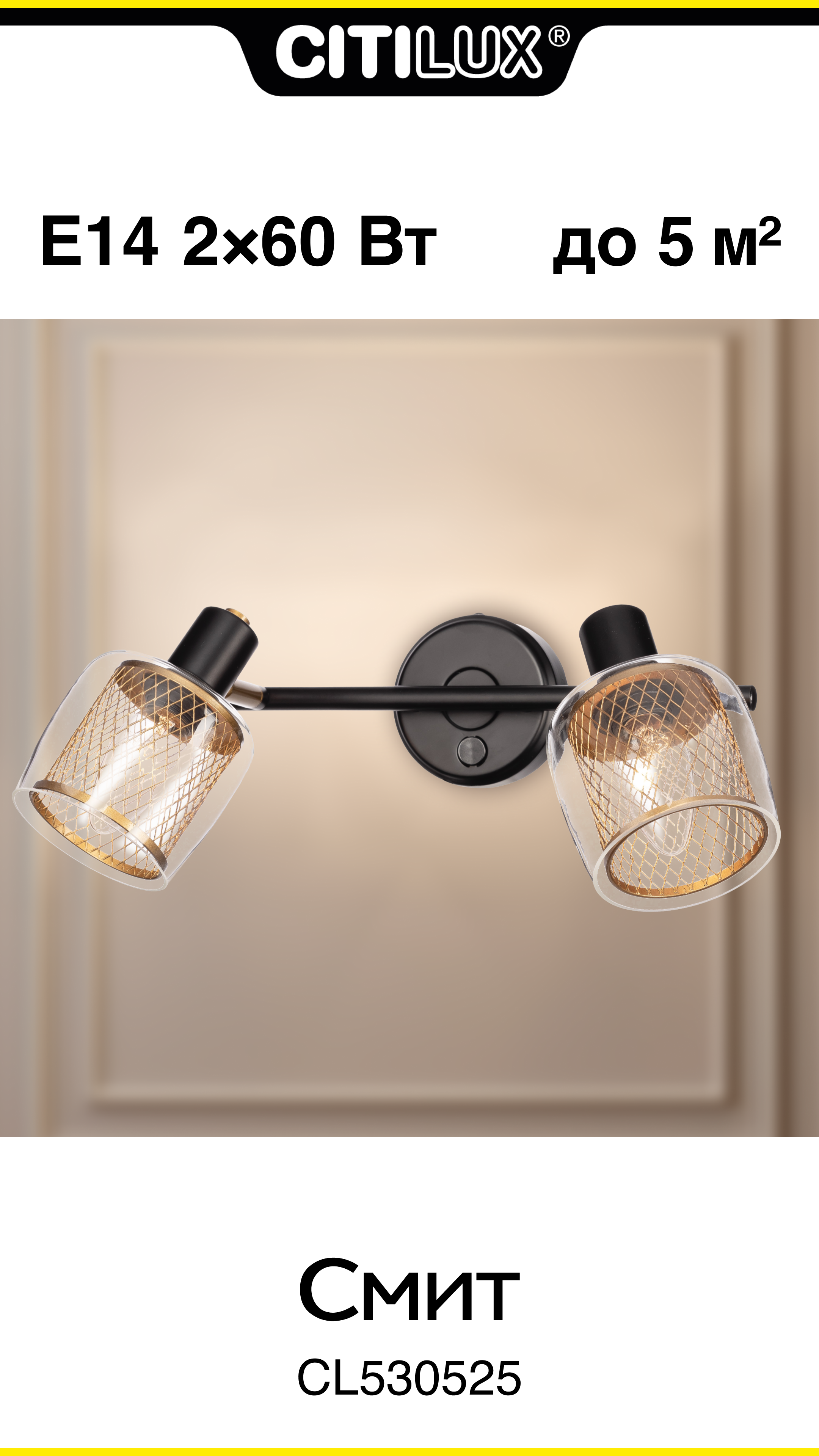 Citilux Смит CL530525 спот на 2 лампы с выключателем чёрный