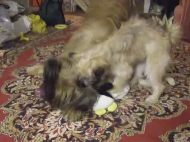 Моника и Флёретт, просто так