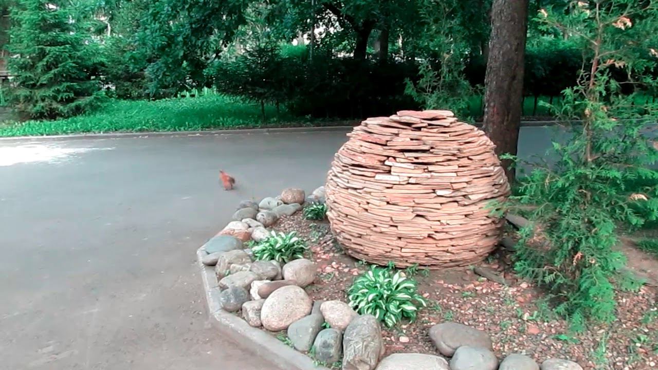 Белка в Центральном парке Новосибирска