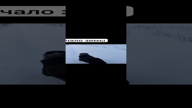 Какой он разный снег!