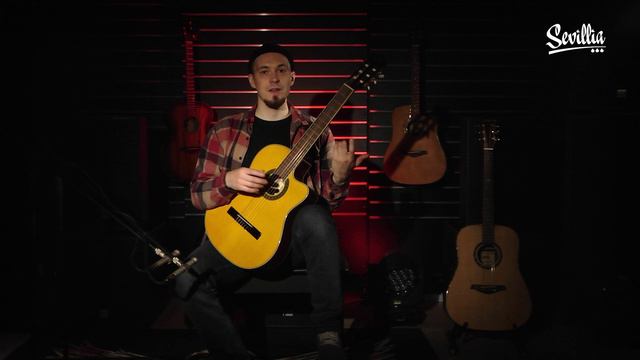 Недорогая классическая гитара Sevillia DS-120