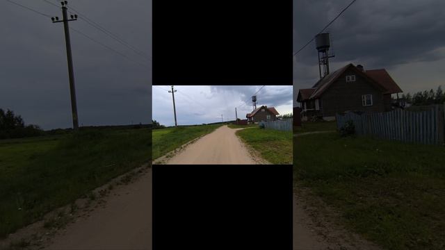 Ужасное нападение собак😄 #shorts