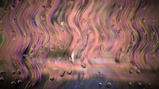 дорога по парку