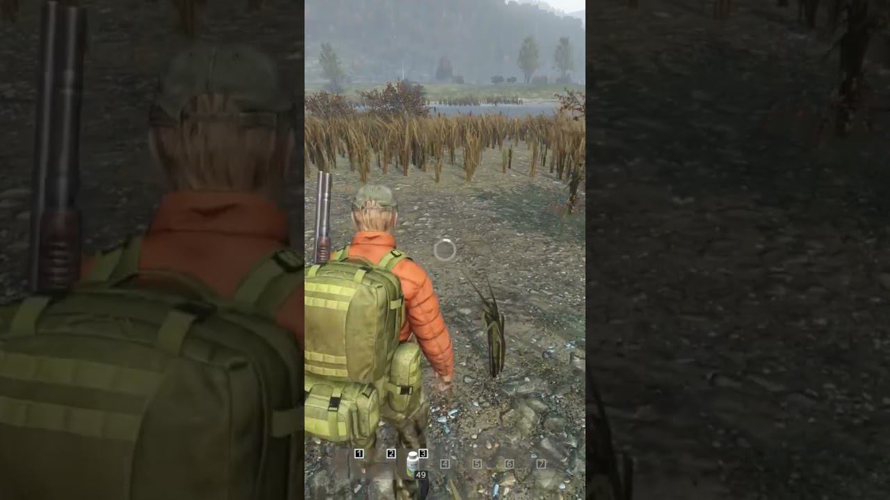 Используй эту фишку, когда пьëшь с колонки DayZ