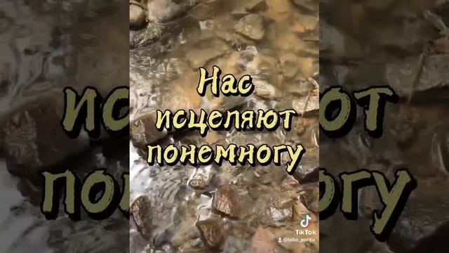 Нас лечат запахи и звуки