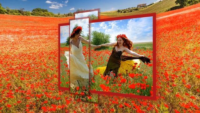 Стиль лупа.mp4