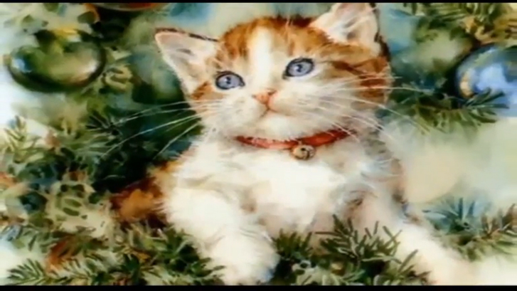 котята очень милые