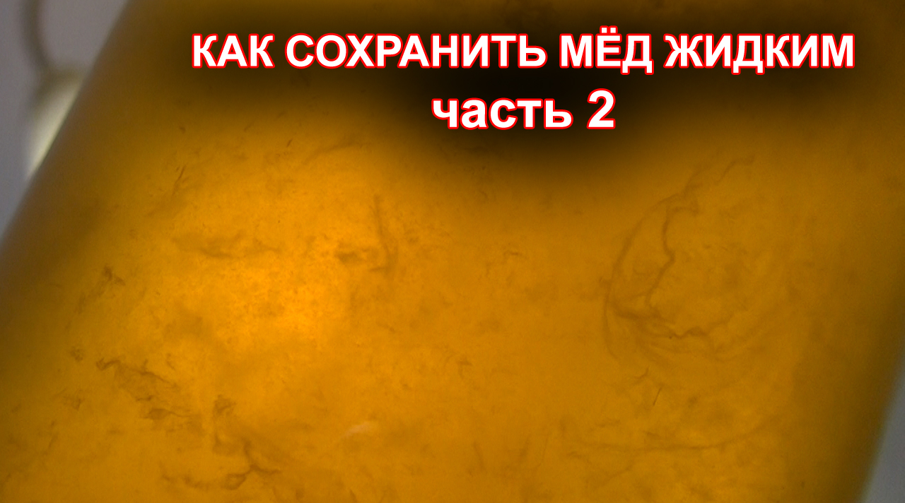 Как сохранить мёд жидким? часть 2.