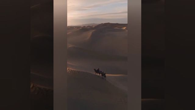 Пустыня Гоби.