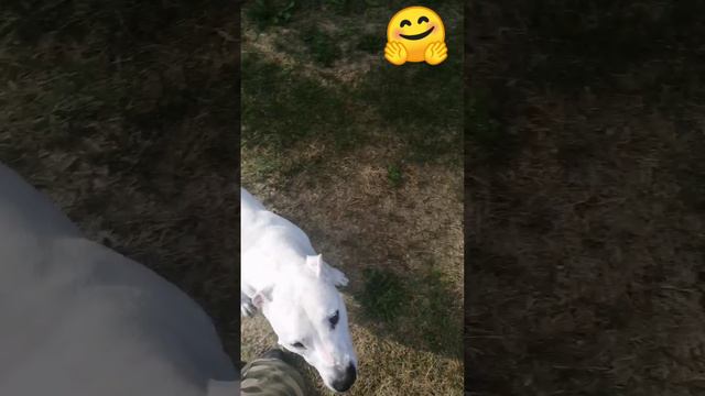 Жизнь удалась