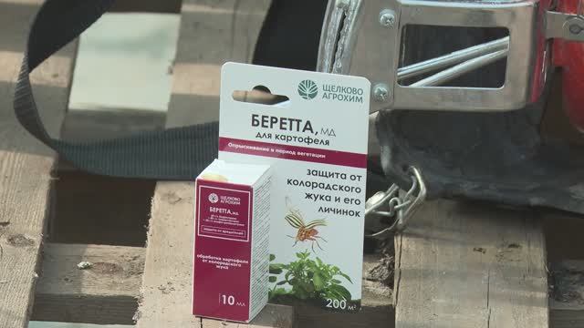 Одна обработка – ни одного колорадского жука!