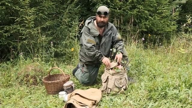 Полезные советы грибникам