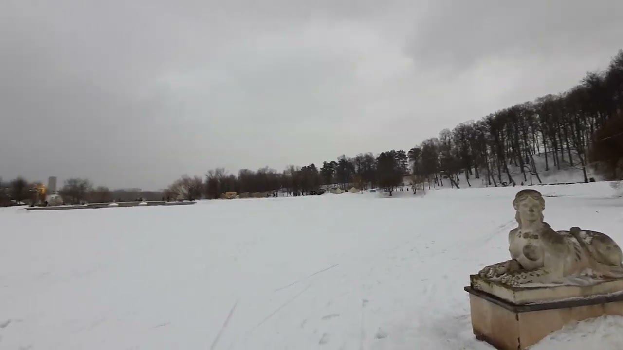 Лыжи. Верхний Царицынский пруд. Статуи Девушки-Львицы. 26.02.2023