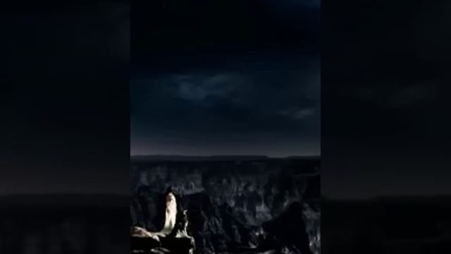 музыкальный релакс