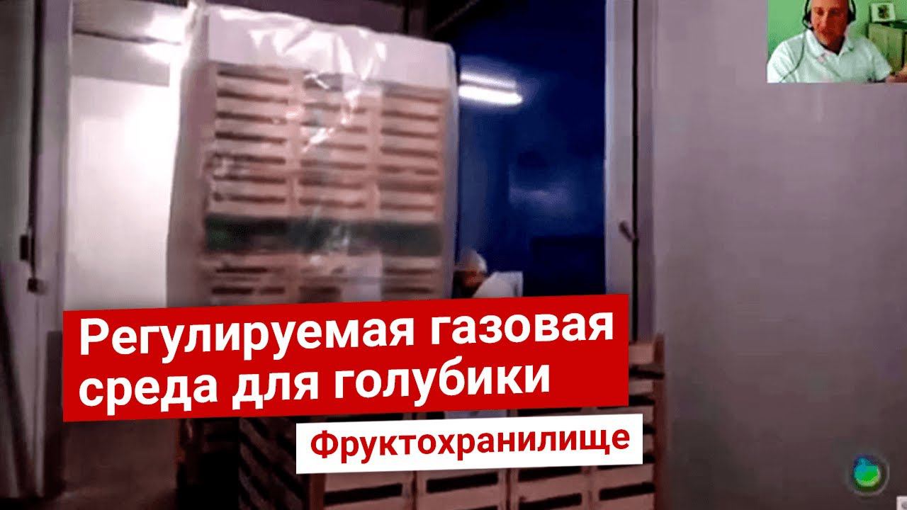 Выбор режимов хранения голубики в регулируемой газовой среде. Вебинар Ягодного Союза